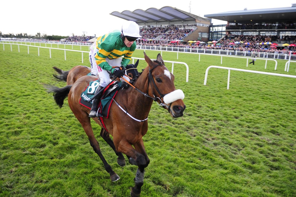 10 Irish National Hunt Horses To Follow | myracing