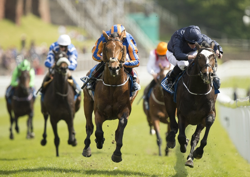Fast Horse Racing Results | myracing