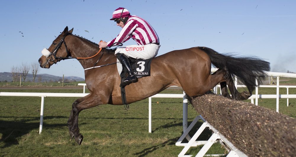 Live Horse Racing Commentary, Free For All UK Races | myracing