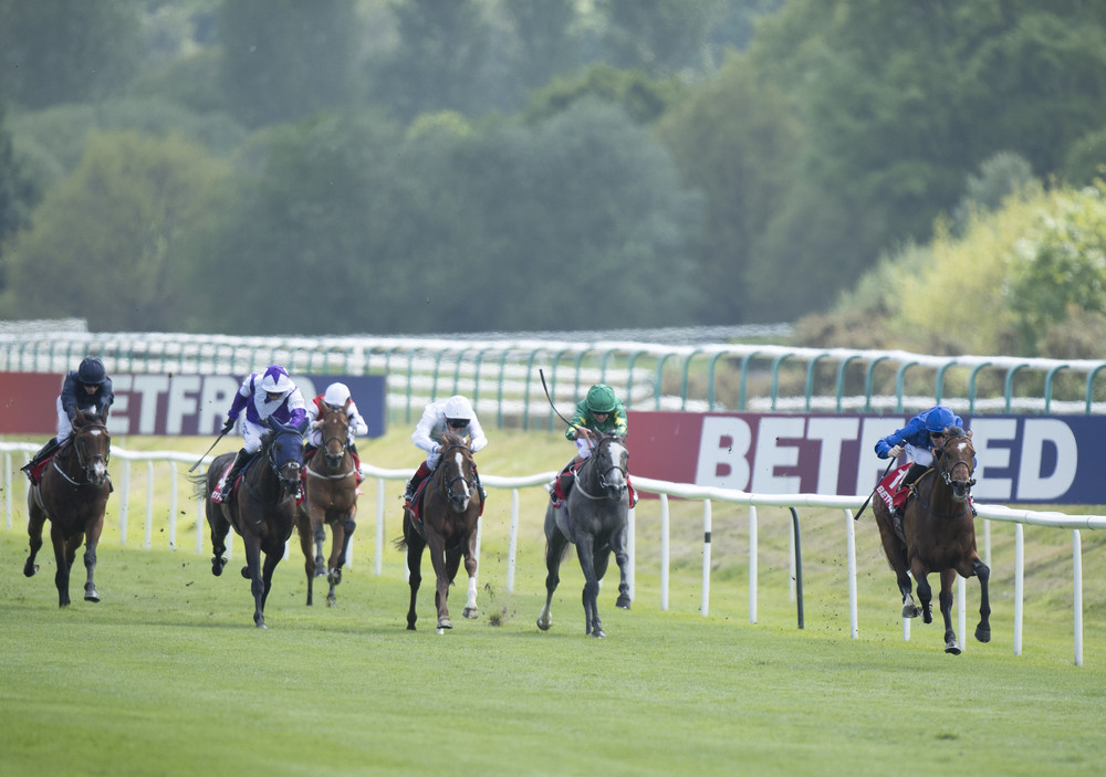 The Home of Free Horse Racing Tips and Horse Racing Betting | myracing