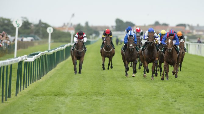 Three mud lovers that will thrive in the conditions at Yarmouth on ...
