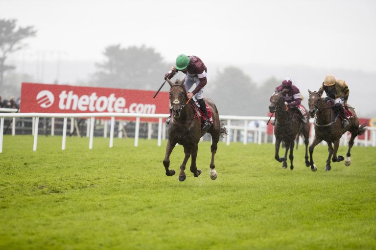 What Is The Tote? Simple Guide & Explanation | myracing