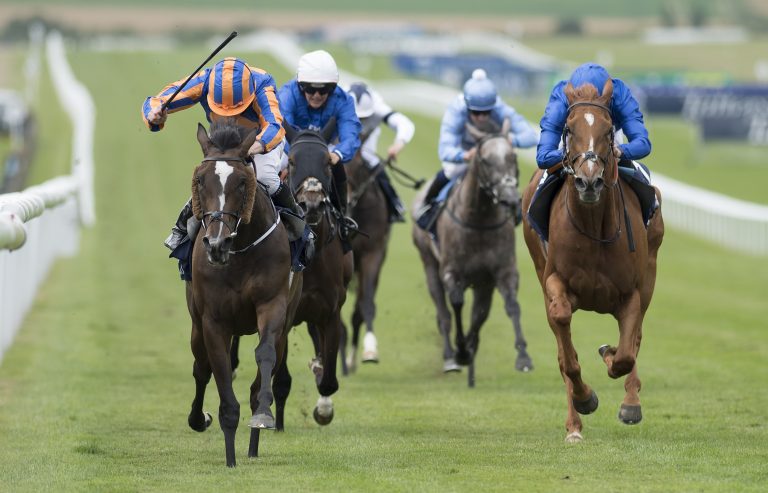 'Everything's in her favour' - The trends tell us this filly is the ...