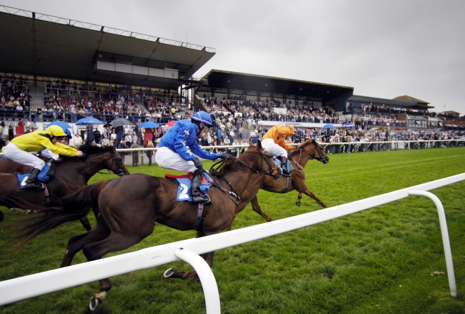 'Low numbers thrive over 5f' - Three horses to take advantage of ...