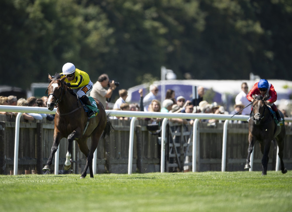 Guide To Saturday's ITV Racing | myracing