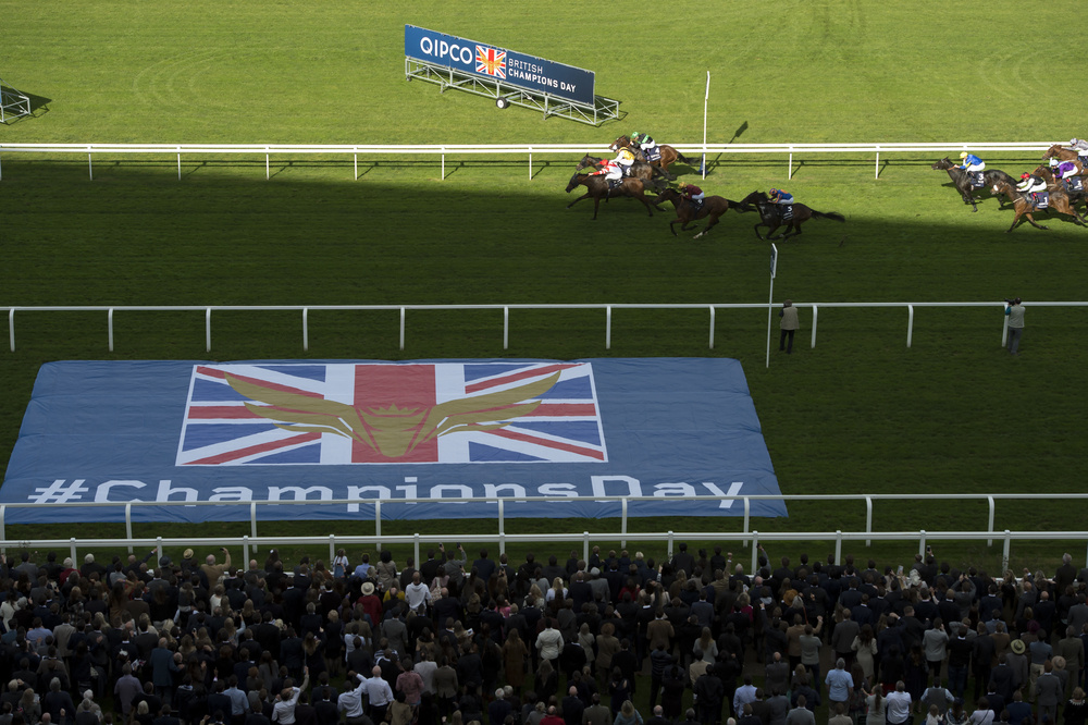 Tote Placepot selections for Saturday’s racing at Ascot | myracing