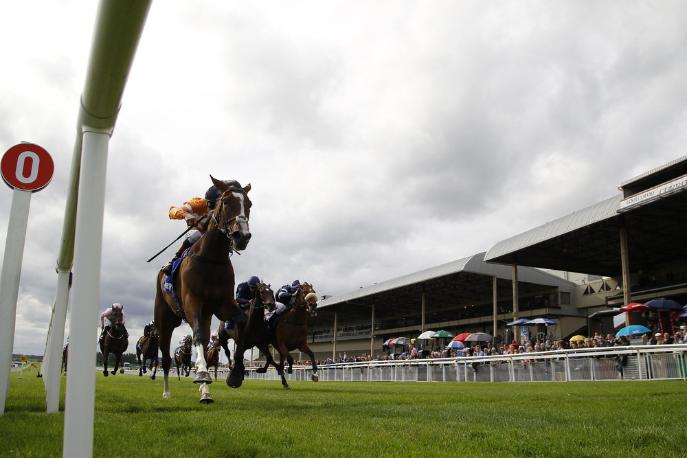 Big-race verdict: find out who our experts fancy for the Irish Oaks ...