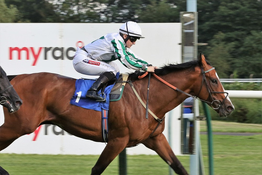 233/1 Doyle Double at the International Jockeys' Championship at Happy ...