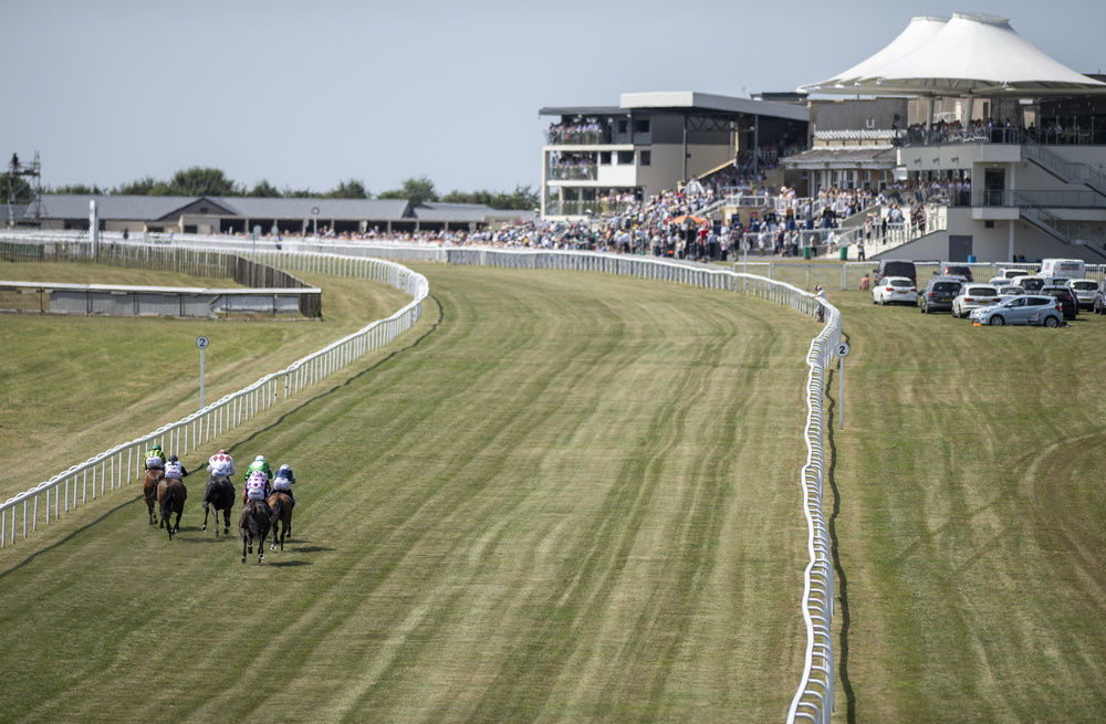 Three horses who will excel on Bath's rattling-fast ground on Friday ...