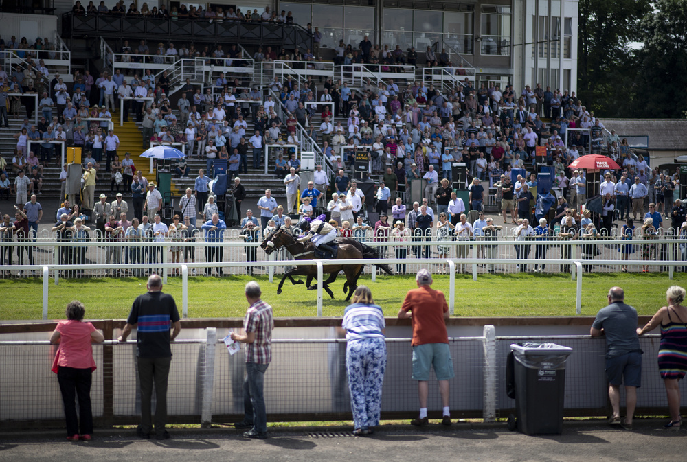 Live Horse Racing Commentary, Free For All UK Races | myracing