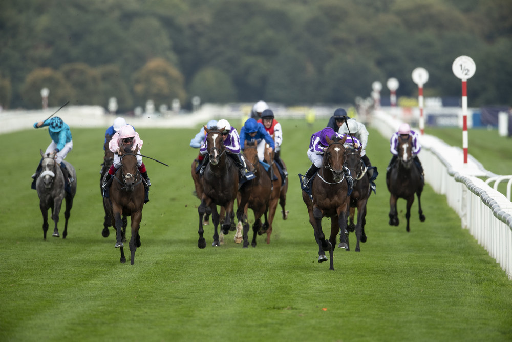 Tote Placepot selections for Doncaster St Leger day | myracing