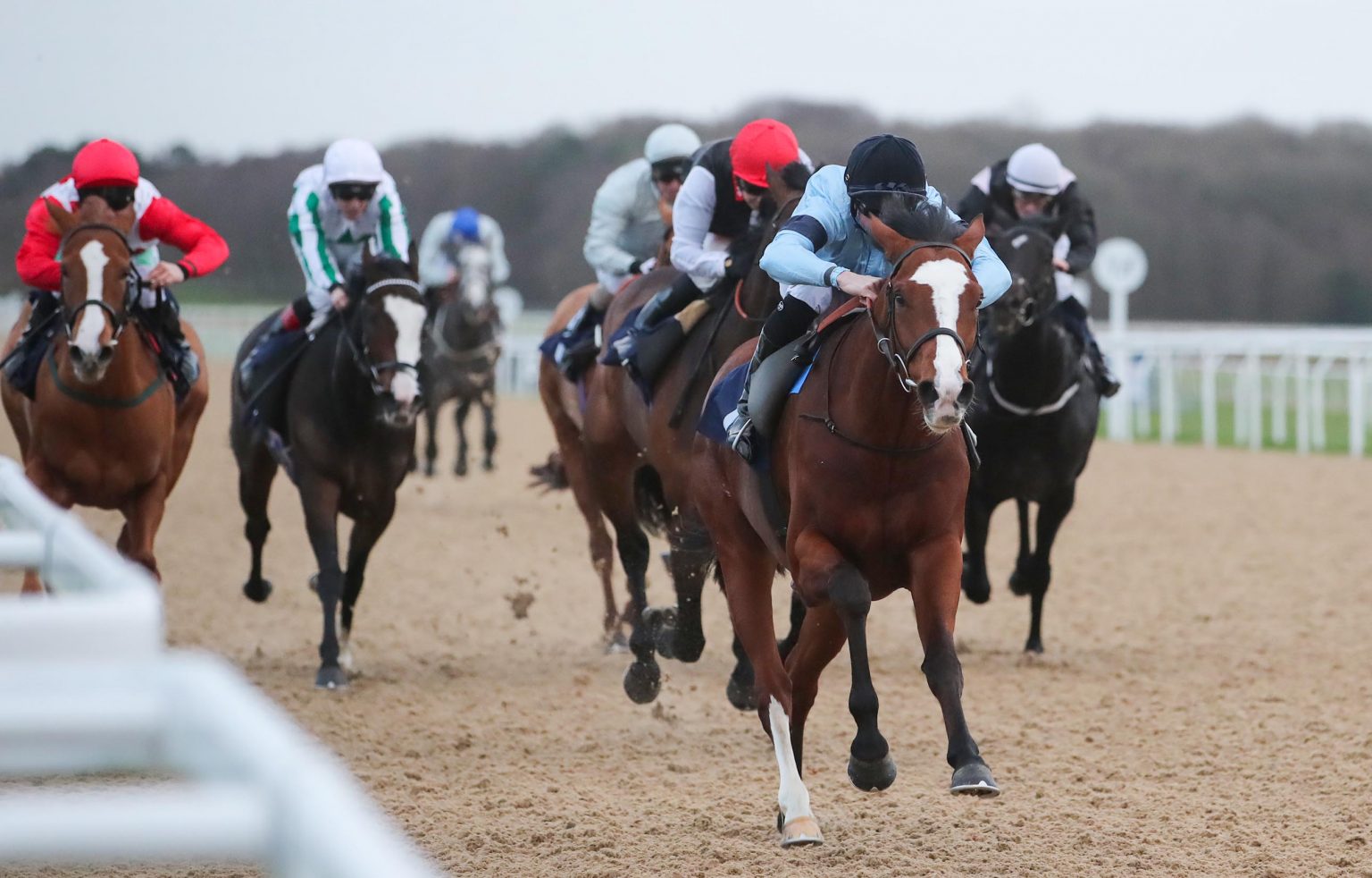 Racing returns: your guide to Monday's card at Newcastle | myracing
