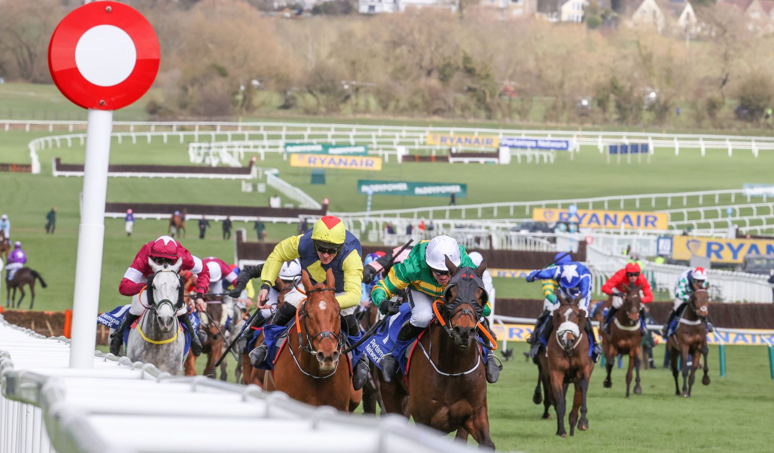 Cheltenham A-Z: Match your name to a runner at the Festival | myracing