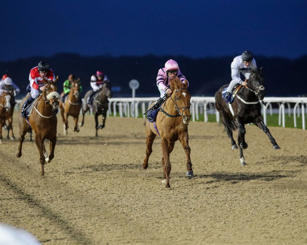 Massive 2,924-1 across-the-cards longshot treble for racing on Monday ...