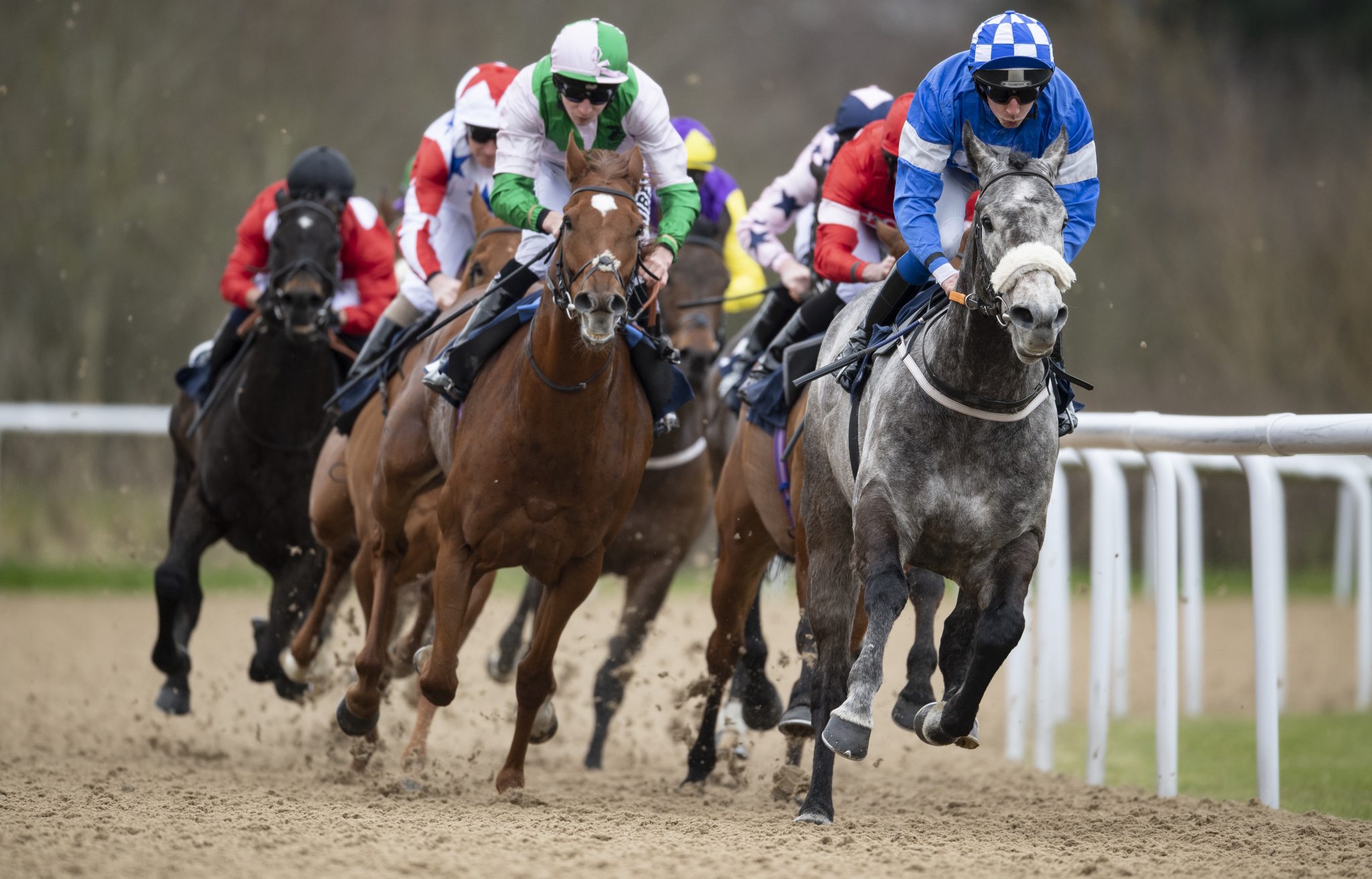 Gamble alert: 20/1 shot backed into 6/1 at Wolverhampton on Tuesday ...