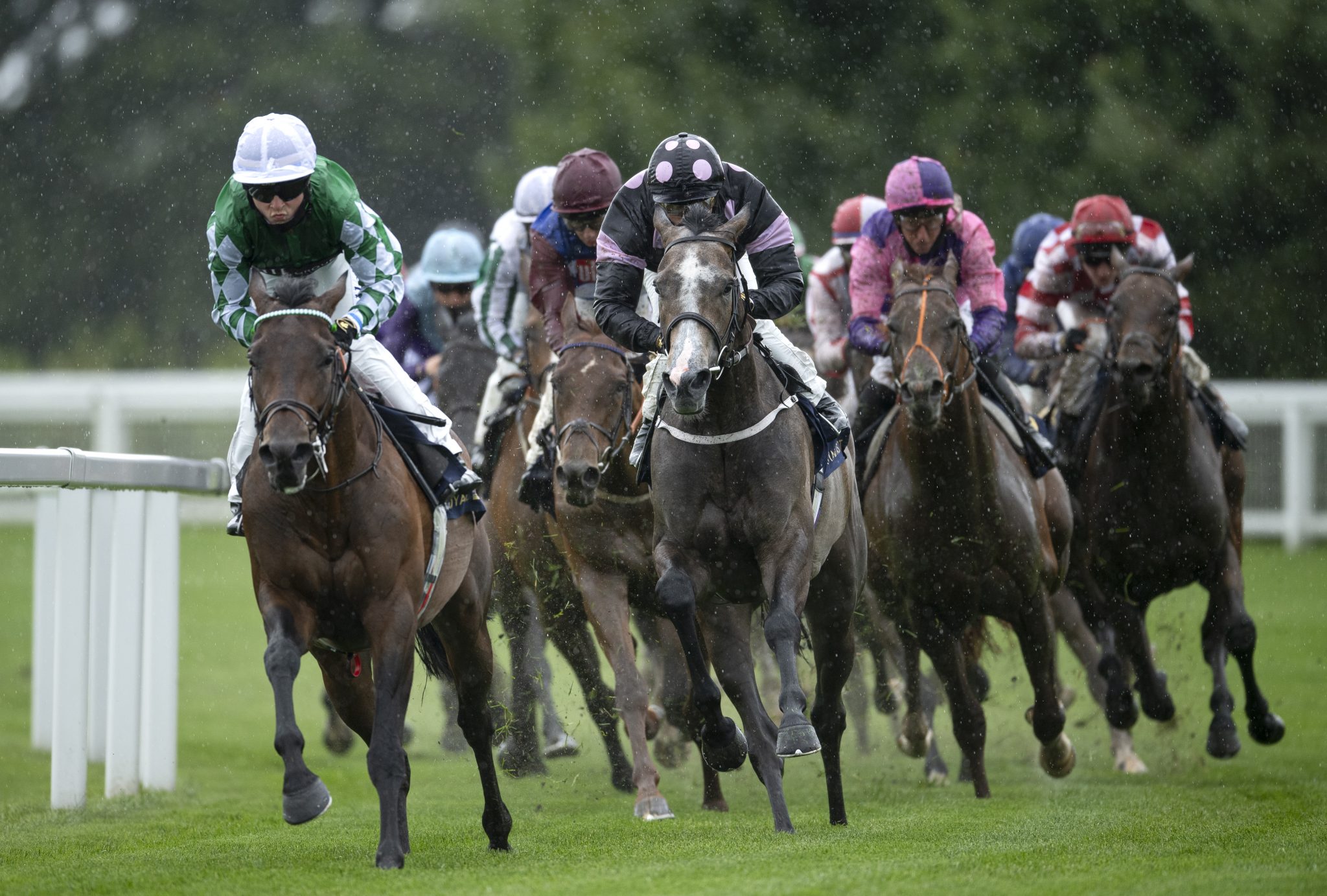 'She has loads of talent' - Irish raiders Lucky 15 on Day 4 of Royal ...