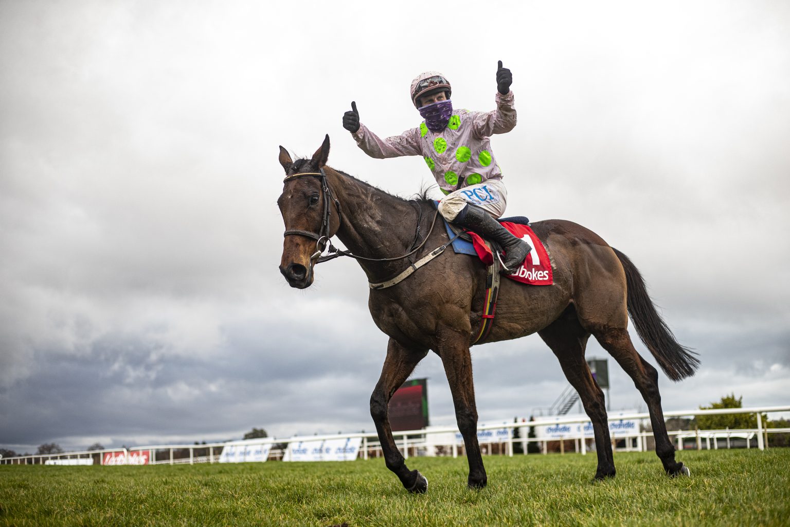 Dublin Racing Festival at Leopardstown: a free tip for every race on Saturday | myracing