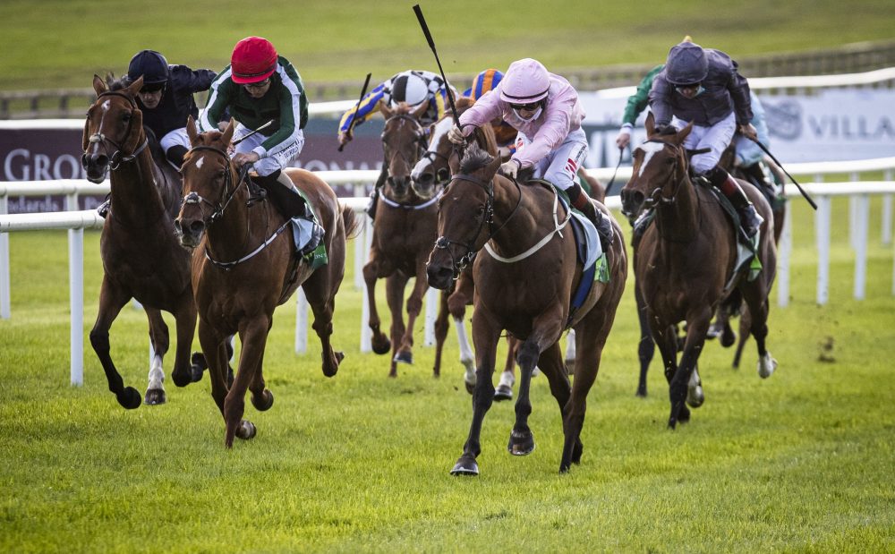 Fast Horse Racing Results | myracing