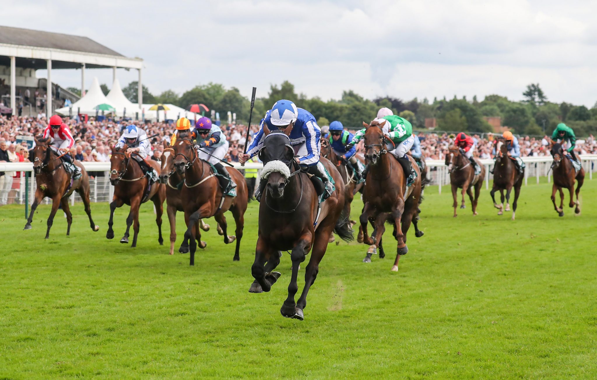 MyRacing's essential beginner's guide to winning at horse racing | myracing