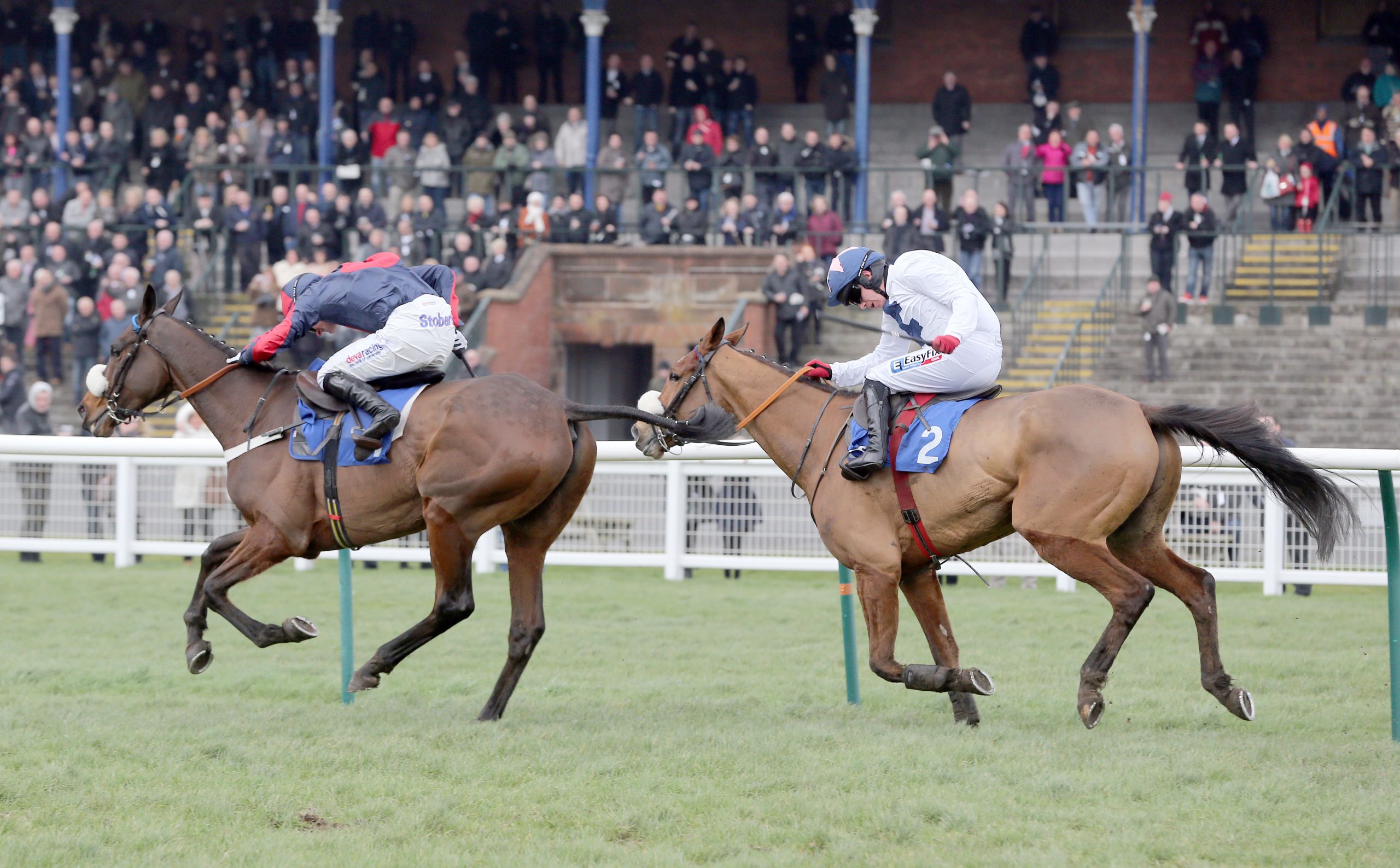 Live Horse Racing Commentary, Free For All UK Races | myracing