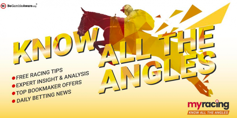 'I've had a proper punt' - Legendary gambler Harry Findlay with his ...