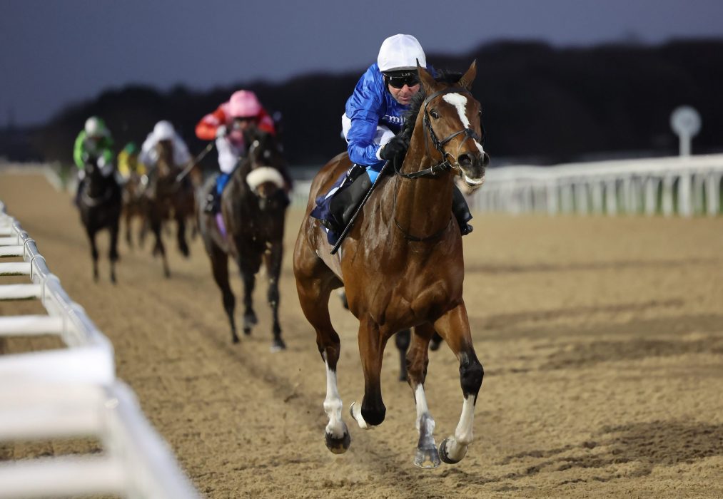 Live Horse Racing Commentary, Free For All UK Races | myracing