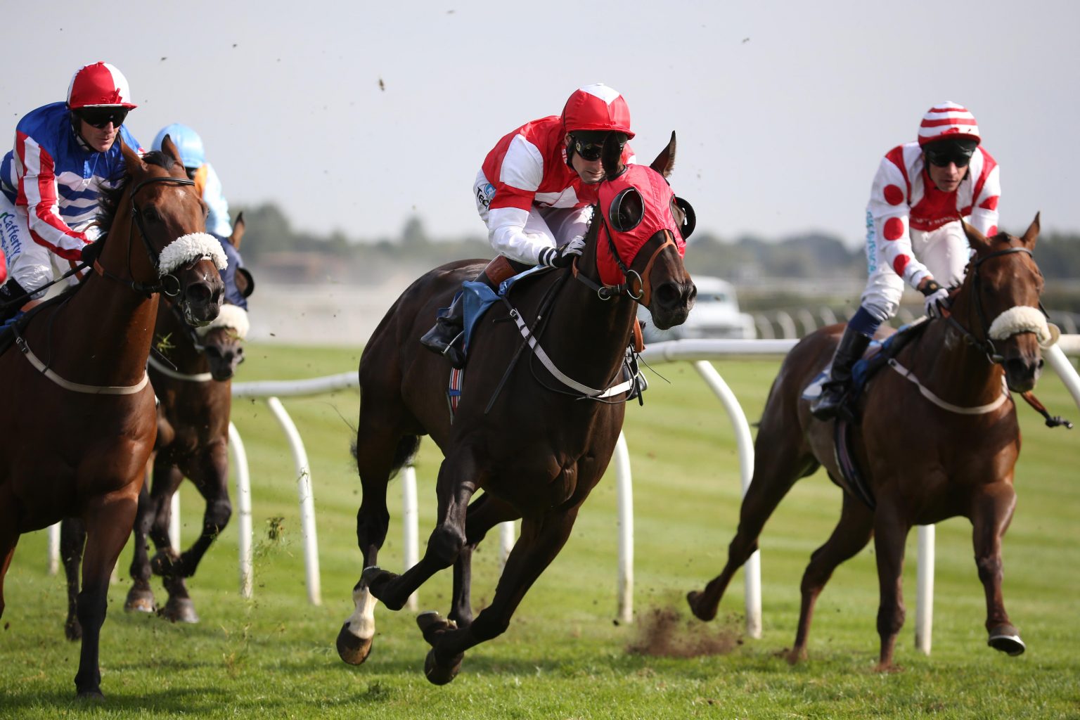 500-1 treble: Three horses that will love the heavy ground at Catterick ...