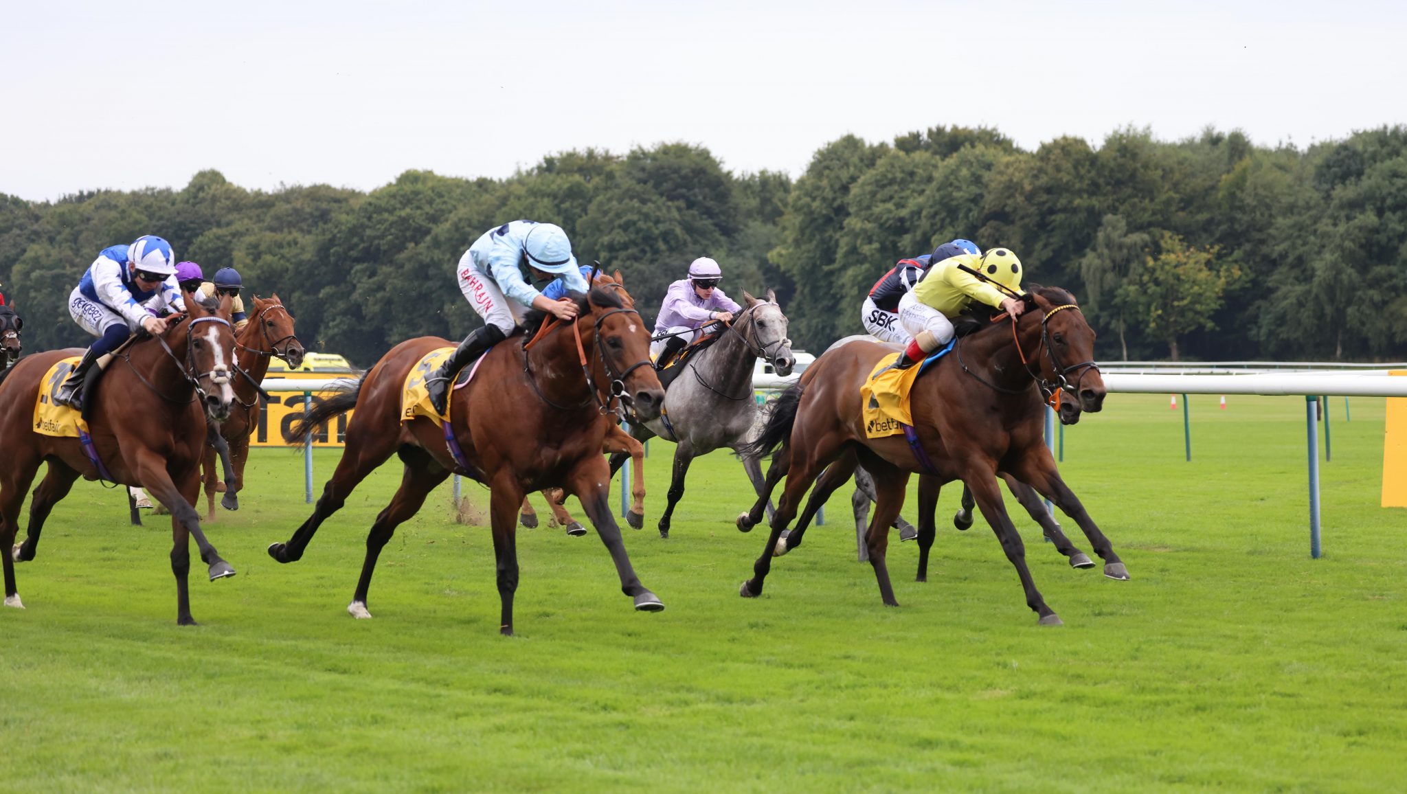 'There's still room in his mark' - 162/1 ITV Saturday horses for ...