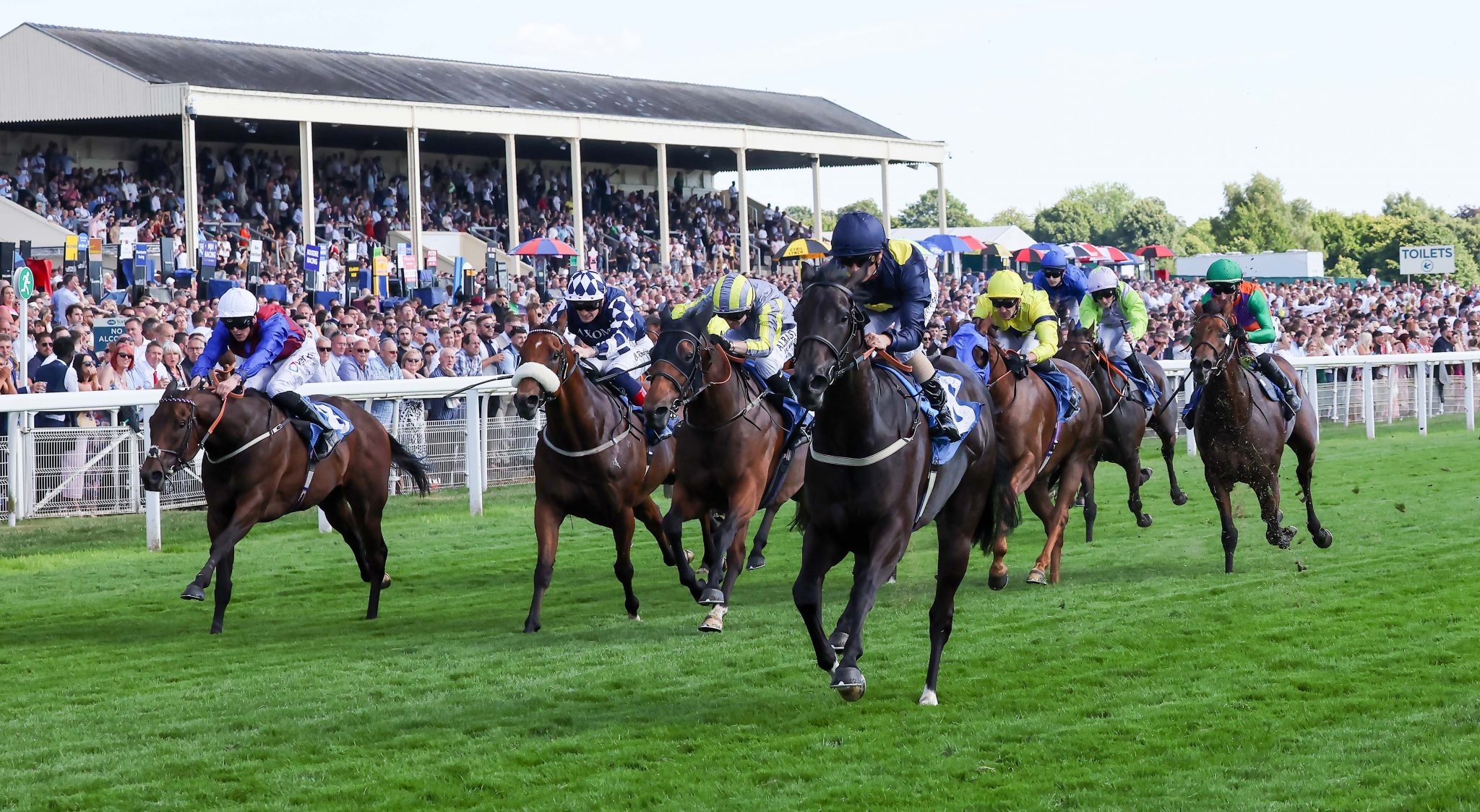 'The Nunthorpe has been the plan' - Trainer thinks his filly will take ...