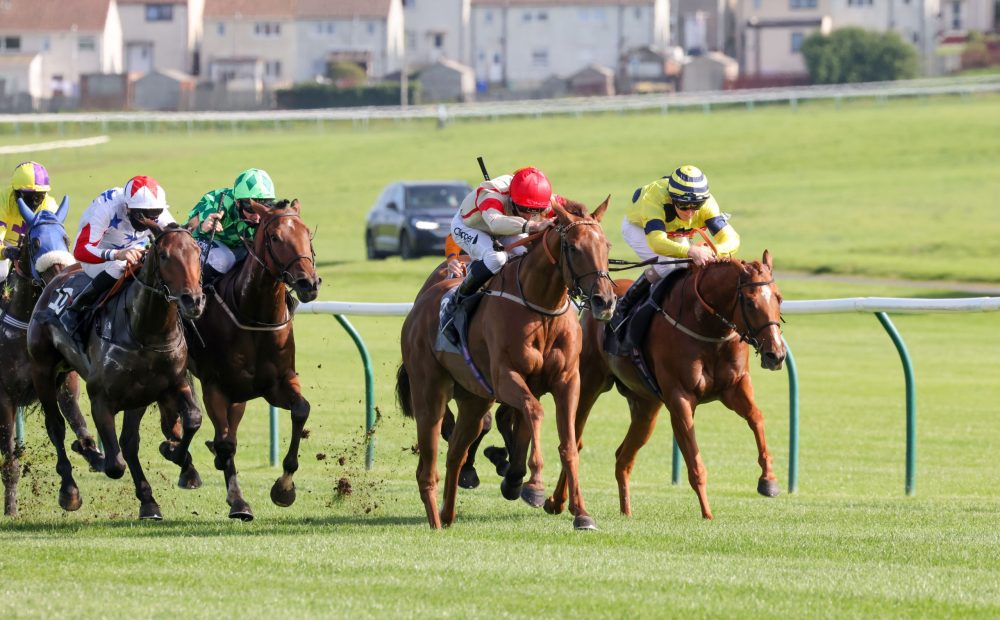 'The trainer farms this race' - Adrian Wall's 16-1 & 14-1 Saturday ...