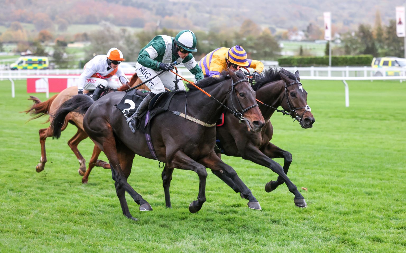Three horses that will love soft ground at Cheltenham form 320-1 Sunday ...