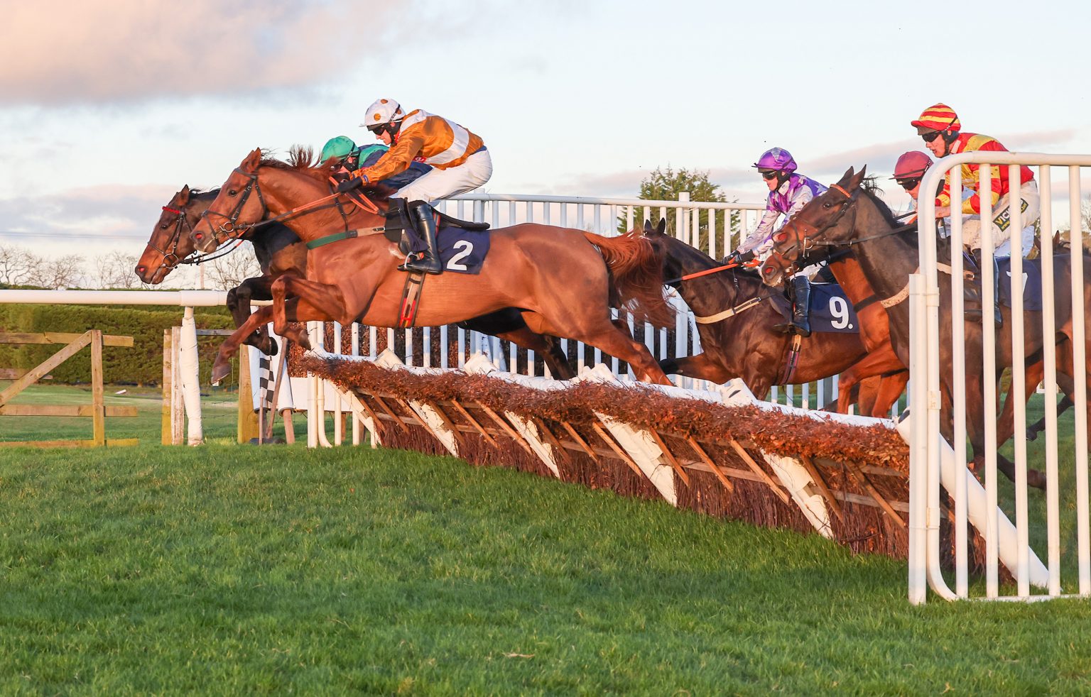 Gamble alert: the best-backed horse of the day runs at Hexham tonight ...