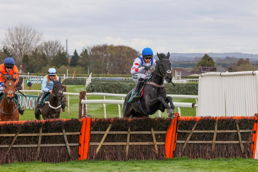 'If anyone can do it, he can' - Paul Nicholls 50-1 shot to win the 2023 ...