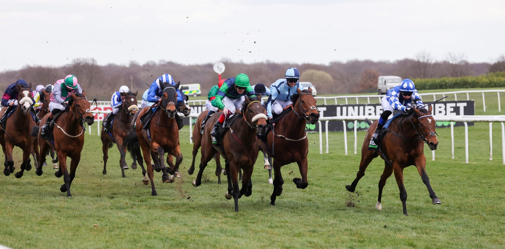 Three horses with perfect records on heavy ground to look out for at ...