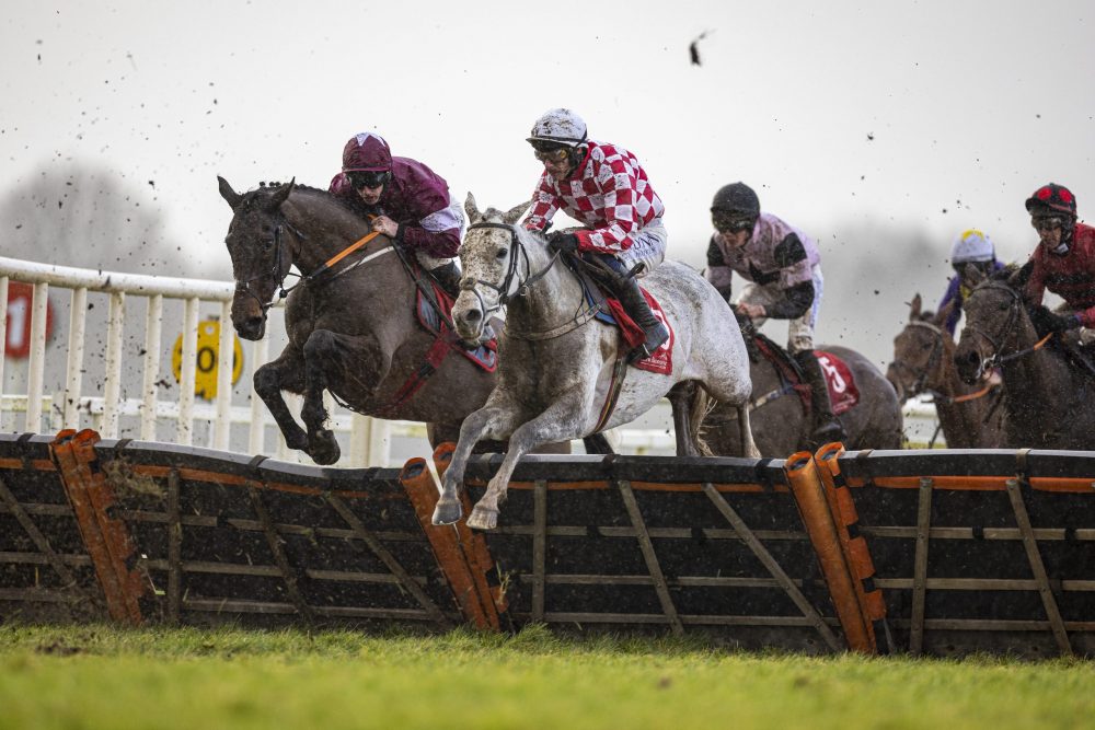 Gamble alert: one runner backed into 10-1 from 25-1 at Cork on Thursday ...