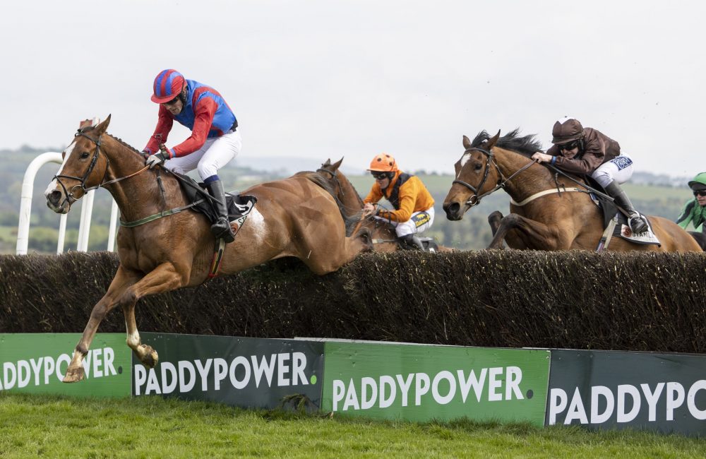 'It will be hard work' - Four heavy ground horses form Punchestown ...