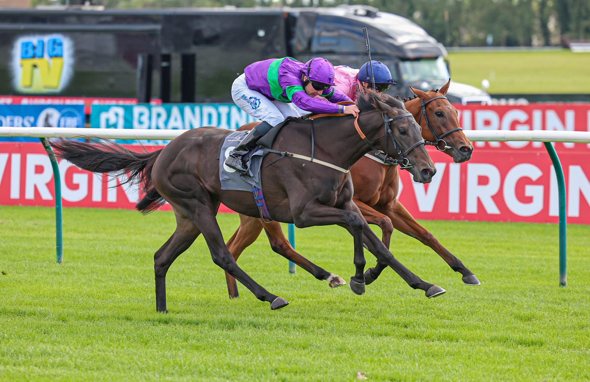 'That was a cracking run' - Three Irish raiders to look out for at Ayr ...