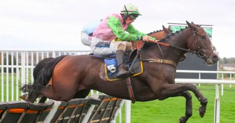 The Real Whacker's trainer Paddy Neville has a Grade 1 runner at ...