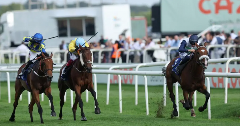 Three Irish raiders that will make their presence felt at Doncaster on ...